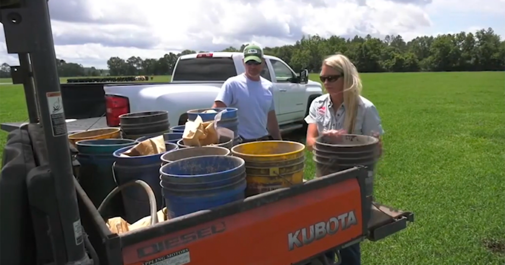 Women’s Pivotal Role in Georgia Agriculture - Farm Monitor