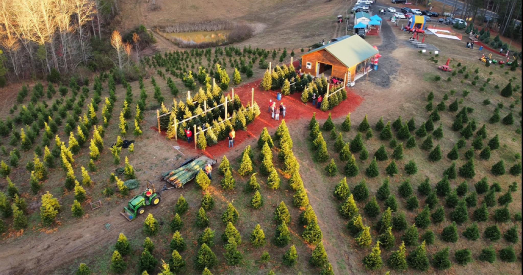 From Passion to Tradition: How the Moss Family's Christmas Tree Farm ...