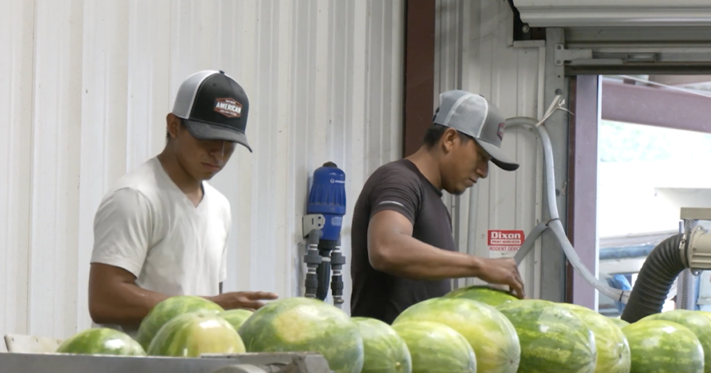 Georgia Producers Tackle Labor Uncertainty at Annual Ag Forum - Farm ...
